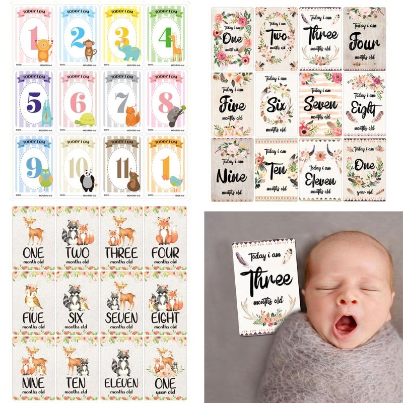 haha 12 Sheet Baby Monthly Milestone Cards Birth to 12 Months Photo ...