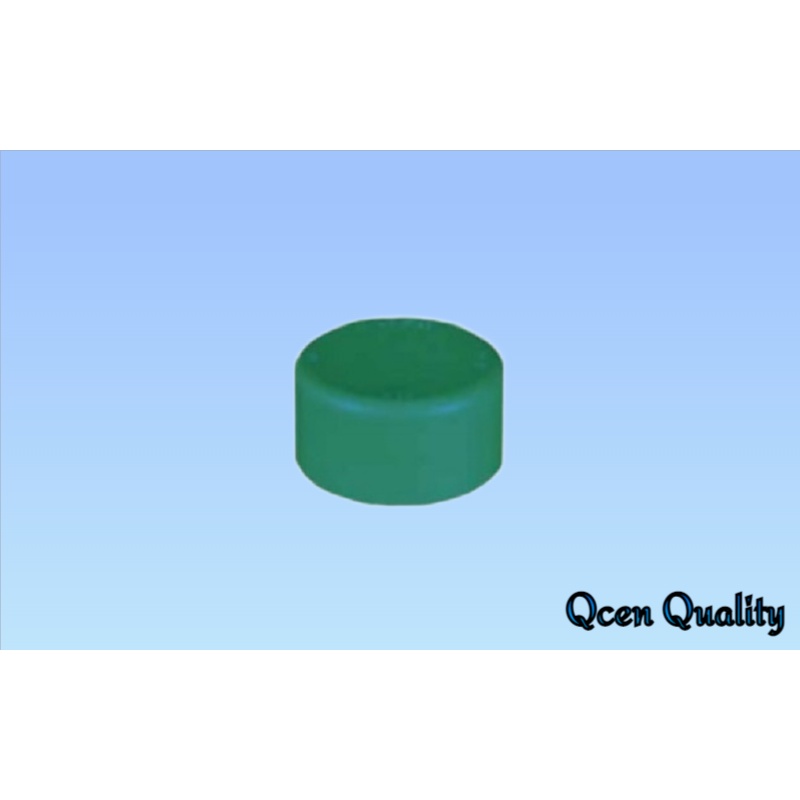 Dop PPR 1-1/4 inch 40mm End Cap PPR | Shopee Philippines