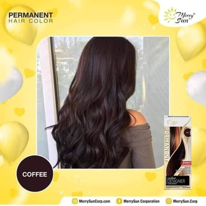 PHILIPPINES NO.1 PERMANENT HAIR COLOR BY MERRY SUN | Shopee Philippines