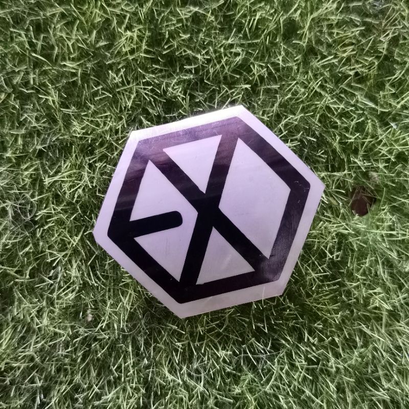 DIY EXO Vinyl IRON-ON PATCH for T-shirt and other Fabric | Shopee ...