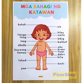 BODY PARTS LAMINATED EDUCATIONAL CHART TAGALOG A4 SIZE THICK | Shopee ...