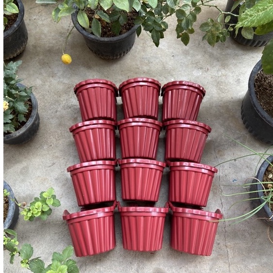 FAMILIFE 12pcs (1 Dozen) 2 Clips Colored Hanging Small Vertical Flower ...