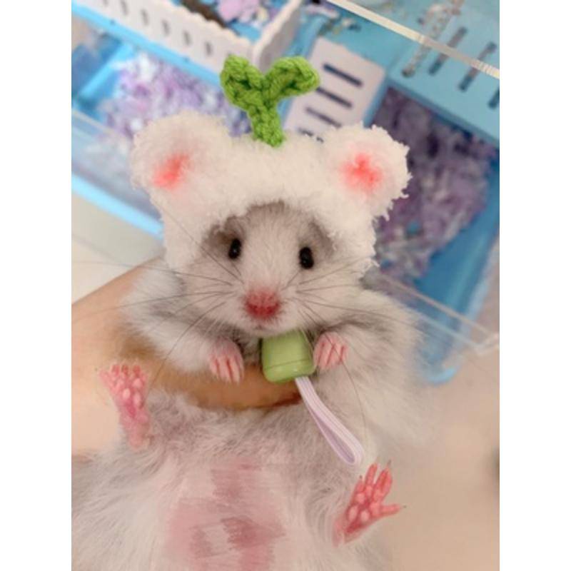 Hamster Hat Clothes Golden Bear Shape Cute Little Hat Ferret Hats, Hand ...