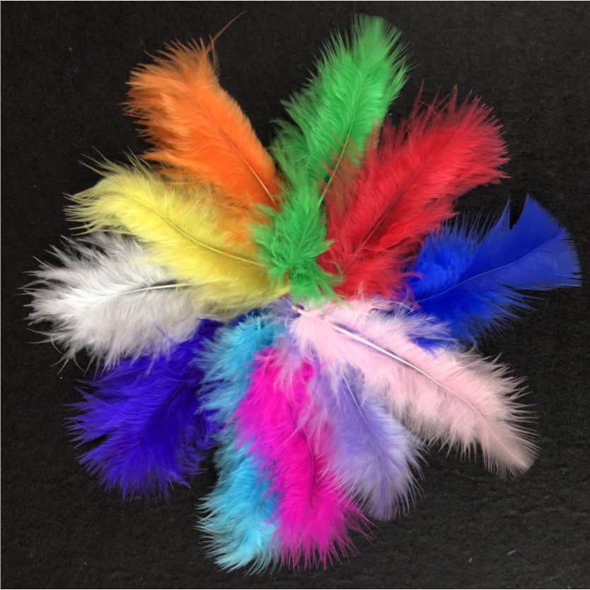 100pcs Natural Feathers Decor Small Floating Colorful Feather Plume ...