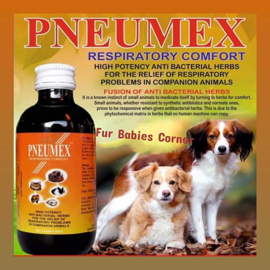 Pneumex For Cough And Colds Of Pets (60mL)(With Free 3mL Syringe ...