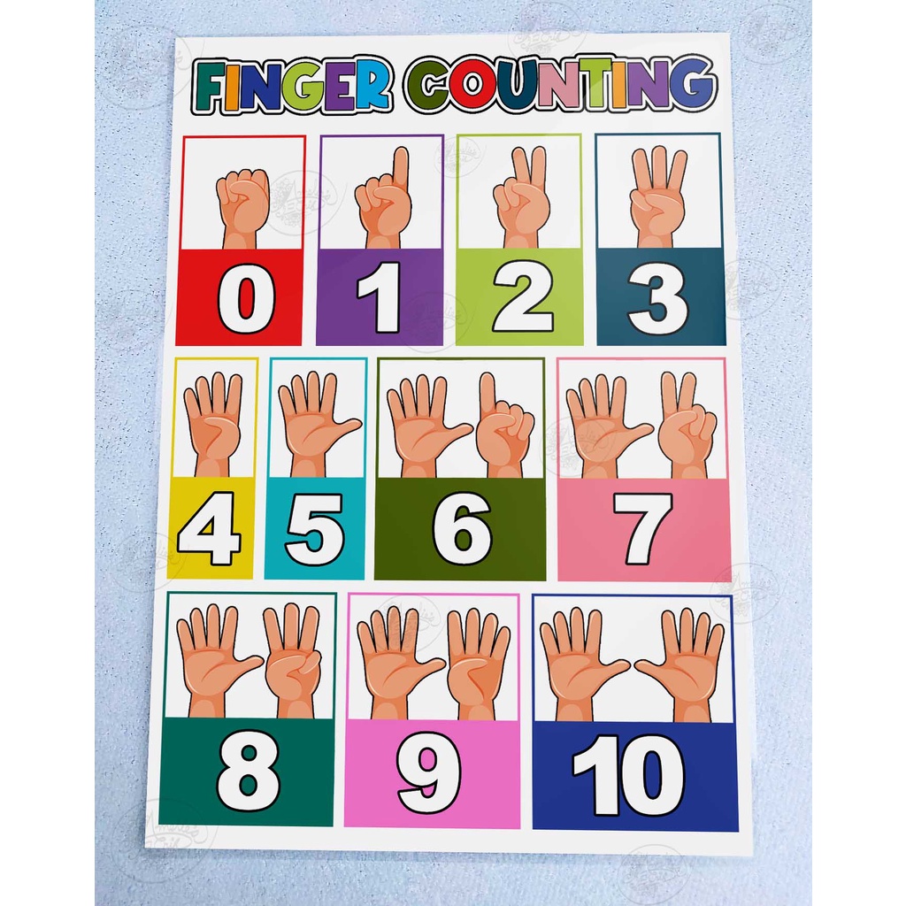 Finger Counting Educational Laminated Charts (A4) | Shopee Philippines