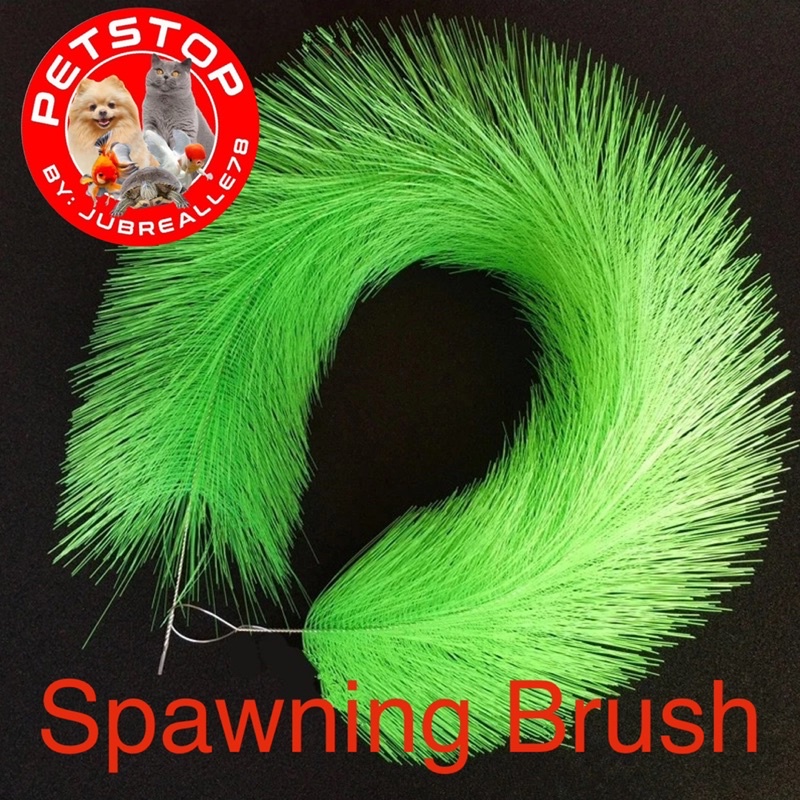 Spawning Brush/ Breeding Brush for koi or gold fish 60cm | Shopee ...