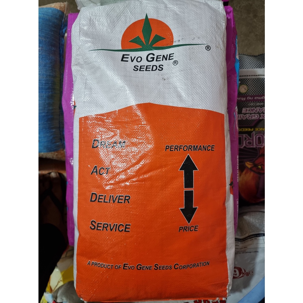 Evo 1401, 710 & Evo 9989 Corn Seed | Evogene | Shopee Philippines