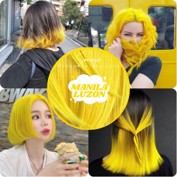 120ML SONIQUE Permanent Hair dye READY TO APPLY! NO NEED OXIDIZER ...