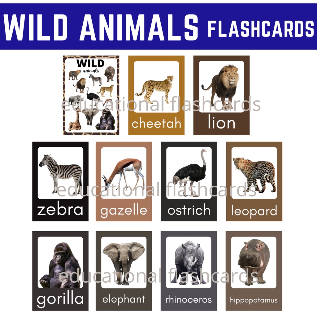Wild Animals Flashcards, Educational Laminated Flashcards for kids ...