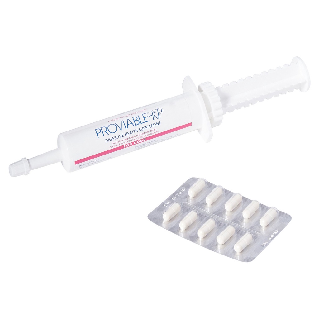 Nutramax Proviable-KP Kit Anti-Diarrheal Probiotics for Cats & Dogs ...