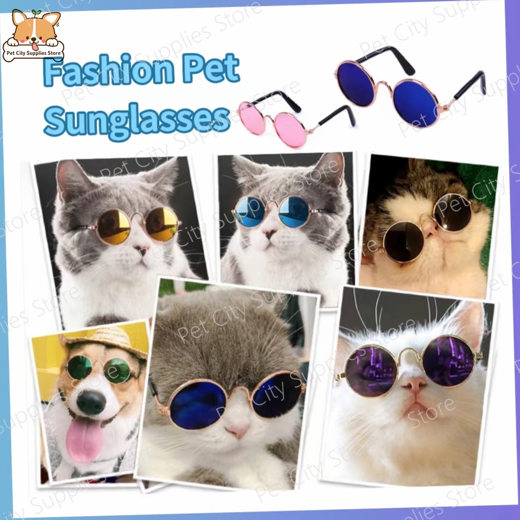 Pet City Dog Cat Sunglasses Teddy Glasses Pet Cool Round Glasses ...