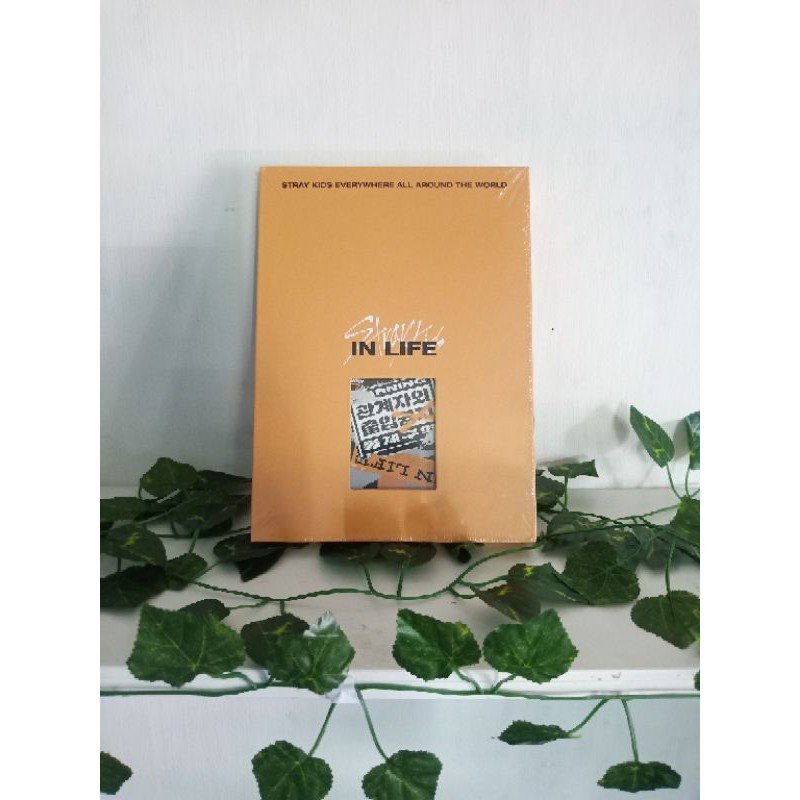 Album Stray Kids In Life (Sealed) | Shopee Philippines