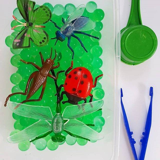 Insect Waterbeads Play Kit (water bead sensory bin) | Shopee Philippines