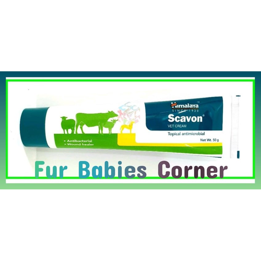 Scavon Vet Cream (50g) Topical Antimicrobial (Antibacterial, Wound ...