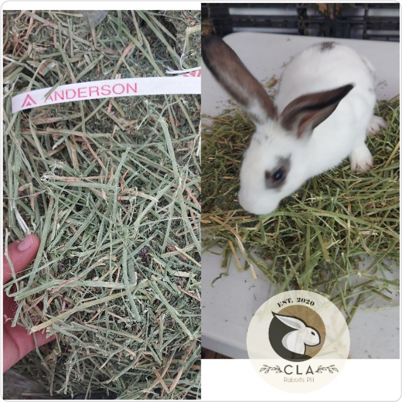 PREMIUM Quality ALFALFA HAY (long strand) with Resealable Plastic ...