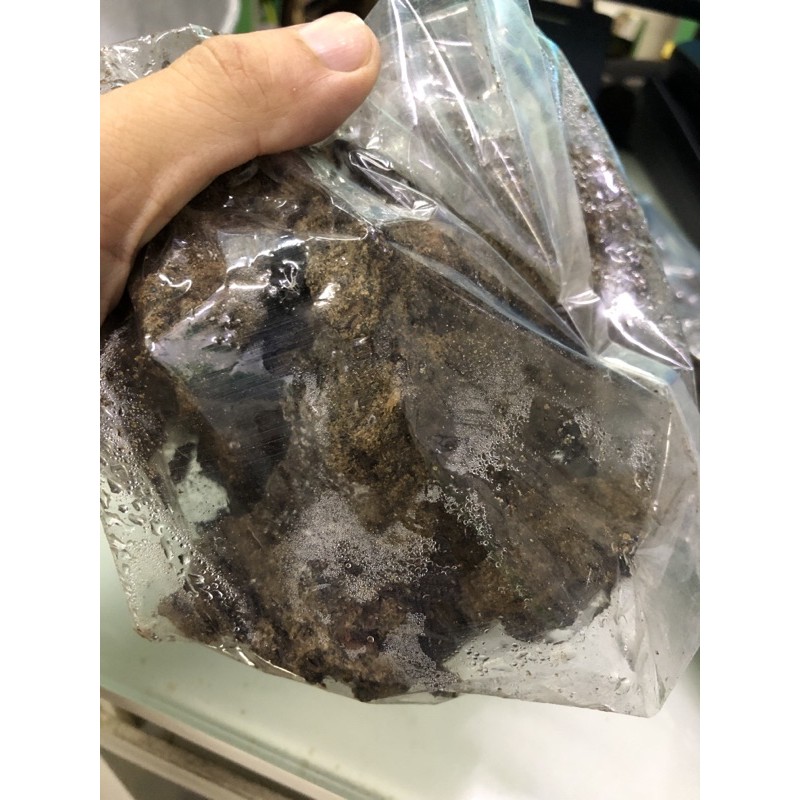 Kamangyan Buo / Durog Kamanyang 1 kg | Shopee Philippines