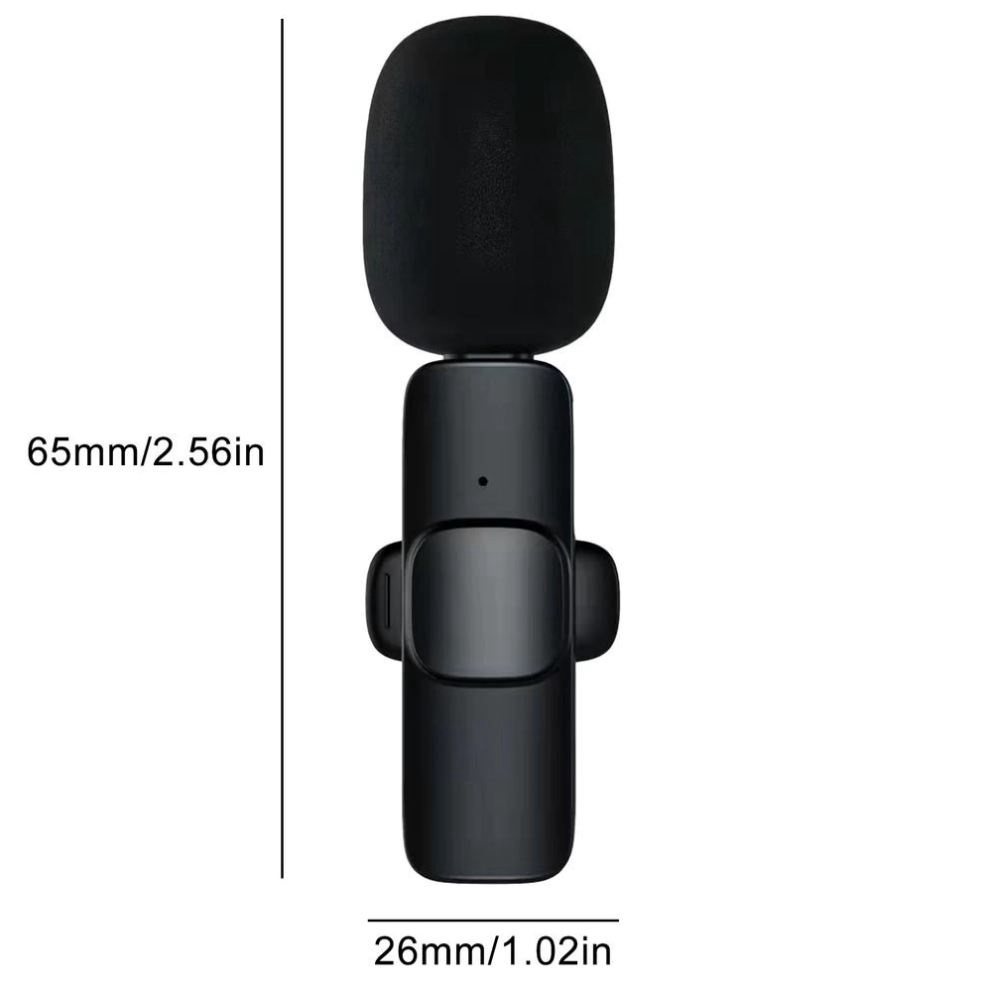 K8 2in1 Type c Portable Audio Video Lavalier Wireless Lapel Microphone ...