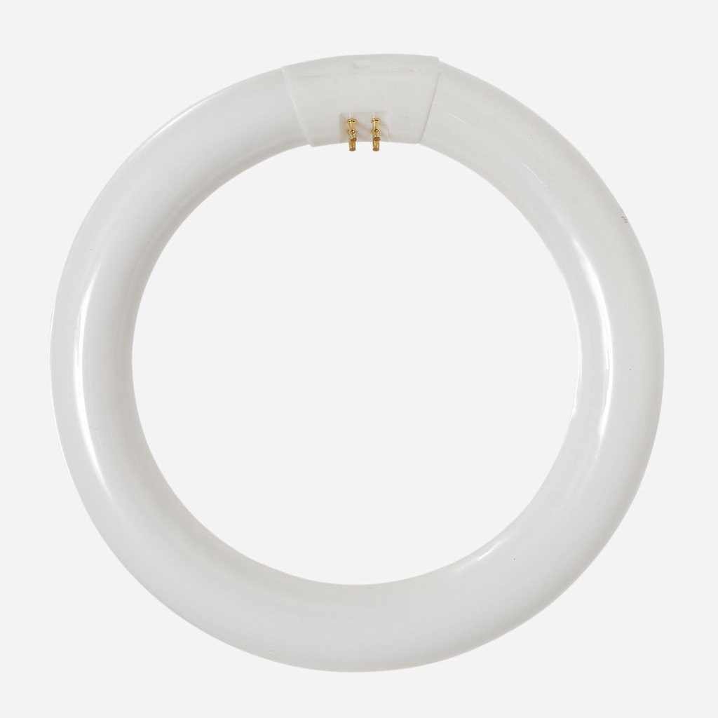 PHILIPS CIRCULAR TUBE 22W 20S/CS | Shopee Philippines