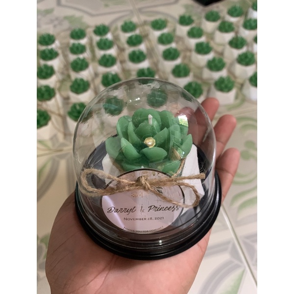 Potted candle succulent - Rose Cabbage(souvenir) | Shopee Philippines