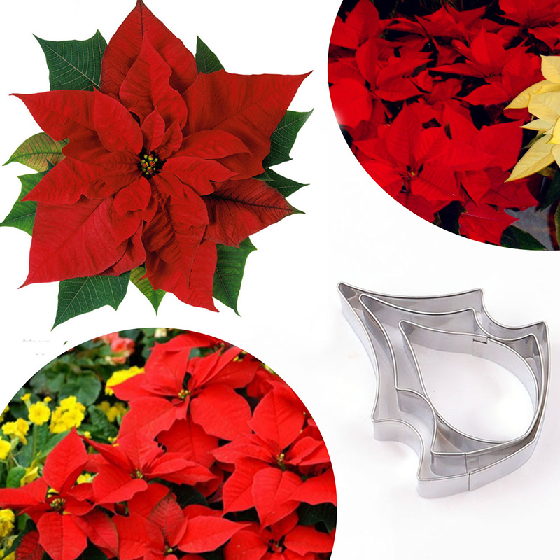Poinsettia Flower Cutting Mold Fondant Cake Decor Petal Cutters Mould ...