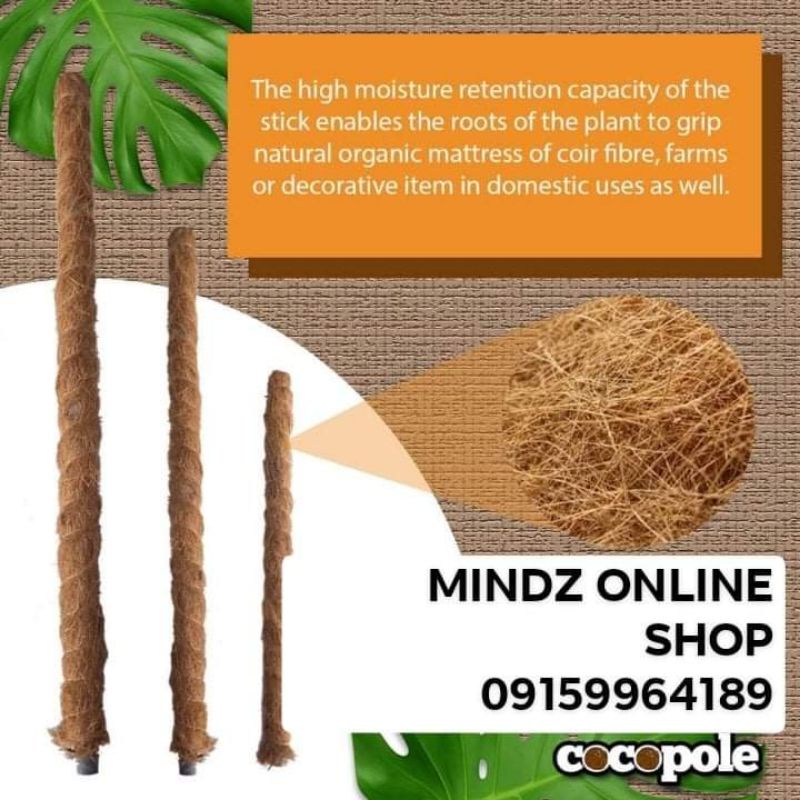 NATIVE COCO POLE(BICOL) | Shopee Philippines