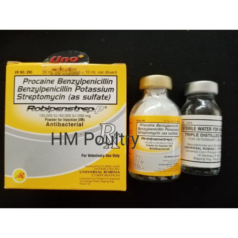 Robipenstrep P Powder for Inj. 20 ml | Shopee Philippines