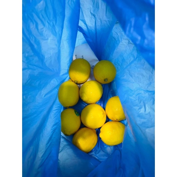 Lemon fresh fruit fruits lemon 1 kg kilo approx 7 to 10 pcs | Shopee ...