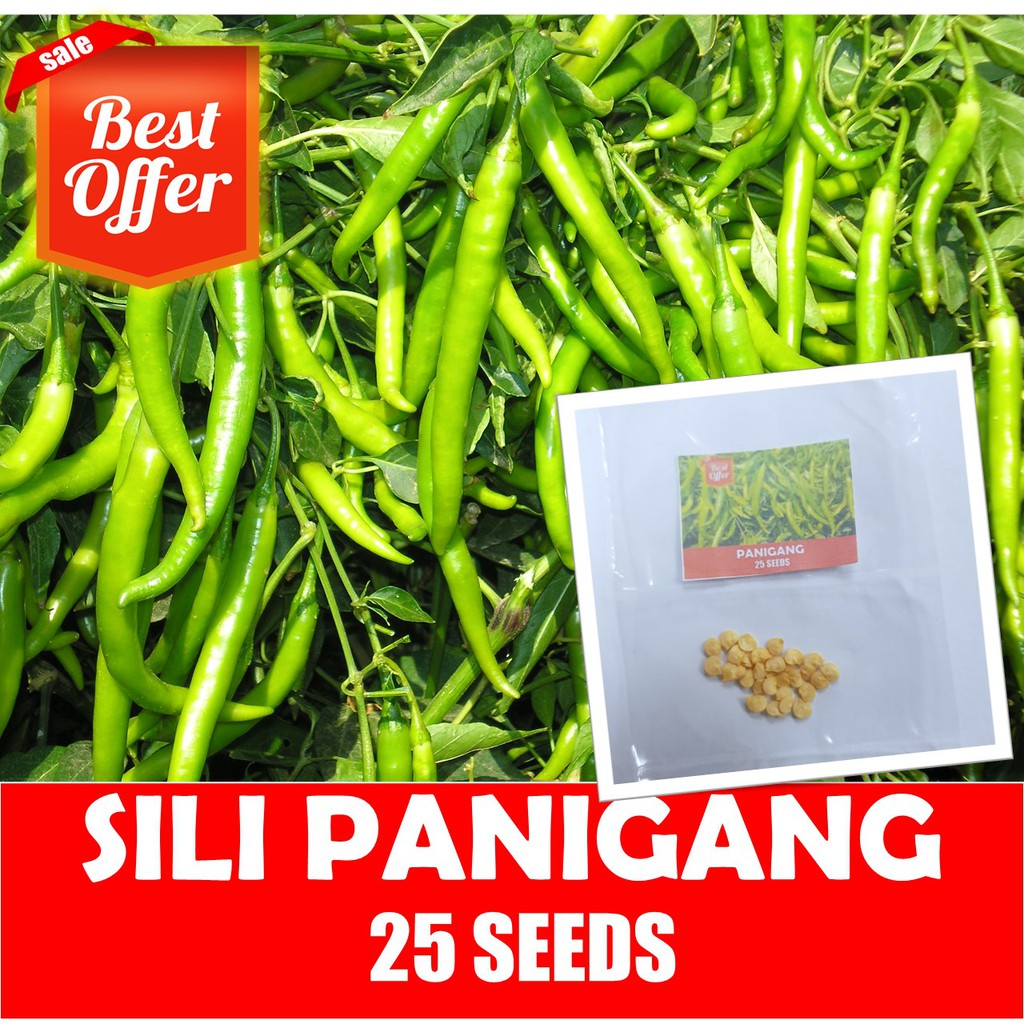 Panigang Seeds - Green Pepper Seeds | Shopee Philippines