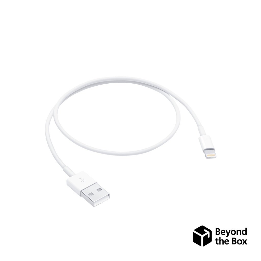 Apple USB-A to Lightning Cable | Shopee Philippines
