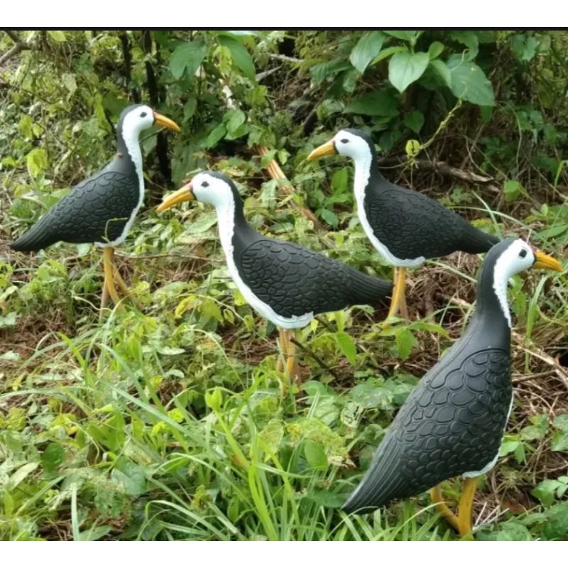 4 Pcs Jontrot ruak ruak kareo very powerful | Shopee Philippines