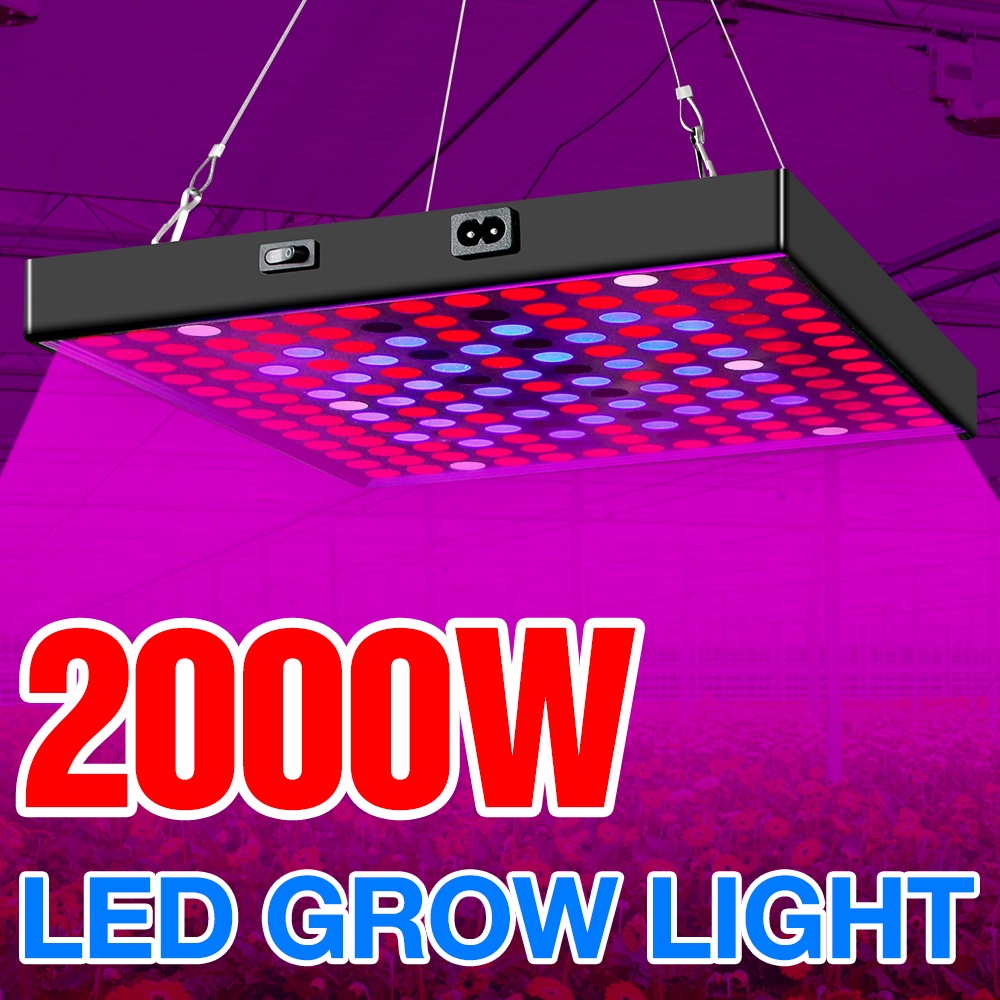 LED Grow Light 2000W Phyto Lamps Quantum Board LED Plant 3000W Full ...