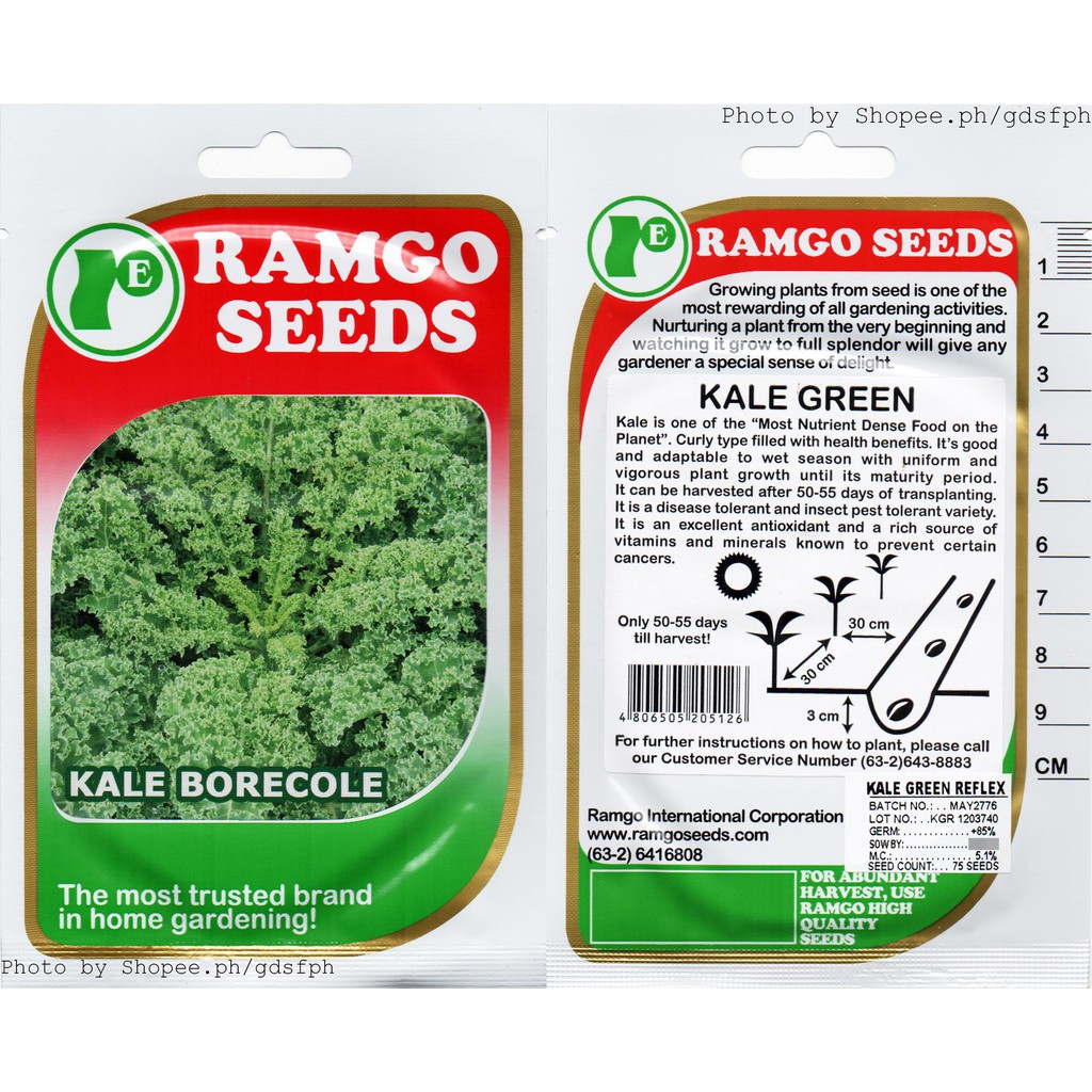 Ramgo RPO Seeds Kale Green & Red seed count 75 approx (Original Pack ...