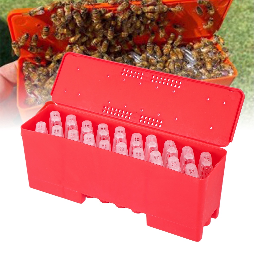 Queen Bee Transport Box with Bee Queen Cages Farm Beekeeping Tools ...