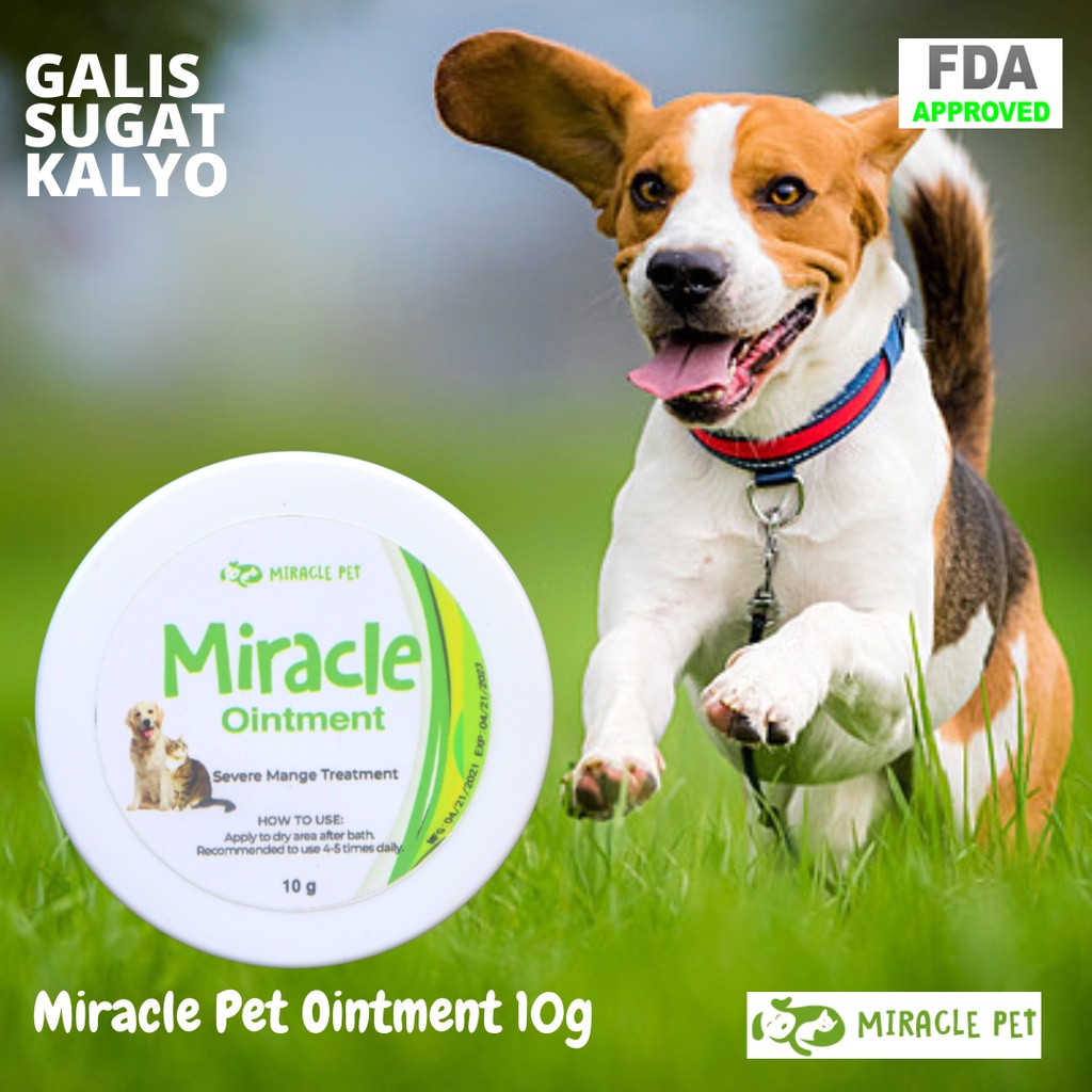 Miracle Ointment For Pet 10g Pet Care Healing Ointment Concentrated ...