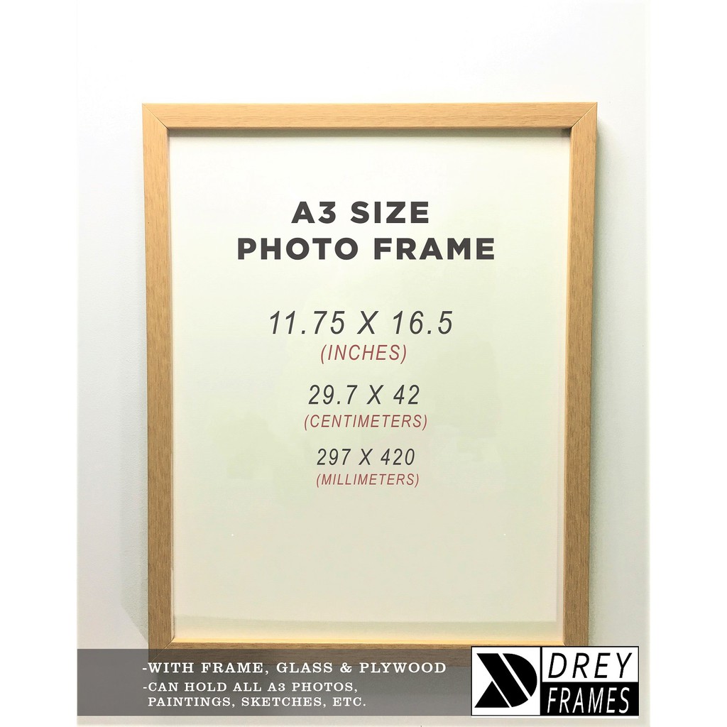 A3 (11.75 "x 16.5") Wall Hang Picture Frame | Shopee Philippines