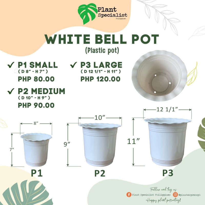 White Bell Pot (Plastic Pot) | Shopee Philippines