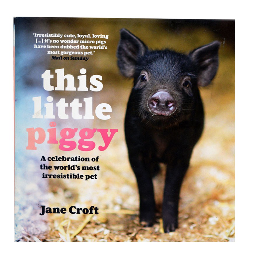 MEO BOOKS This Little Piggy Story Book | Shopee Philippines