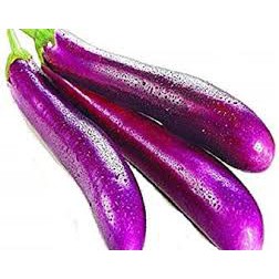 TALONG SEED`S HYBRID (LONG PURPLE EGGPLANT) | Shopee Philippines