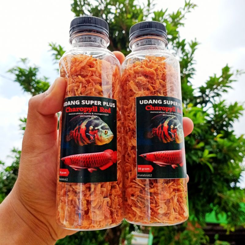 Predator Super Red Shrimp Feed Fish Feeder | Shopee Philippines
