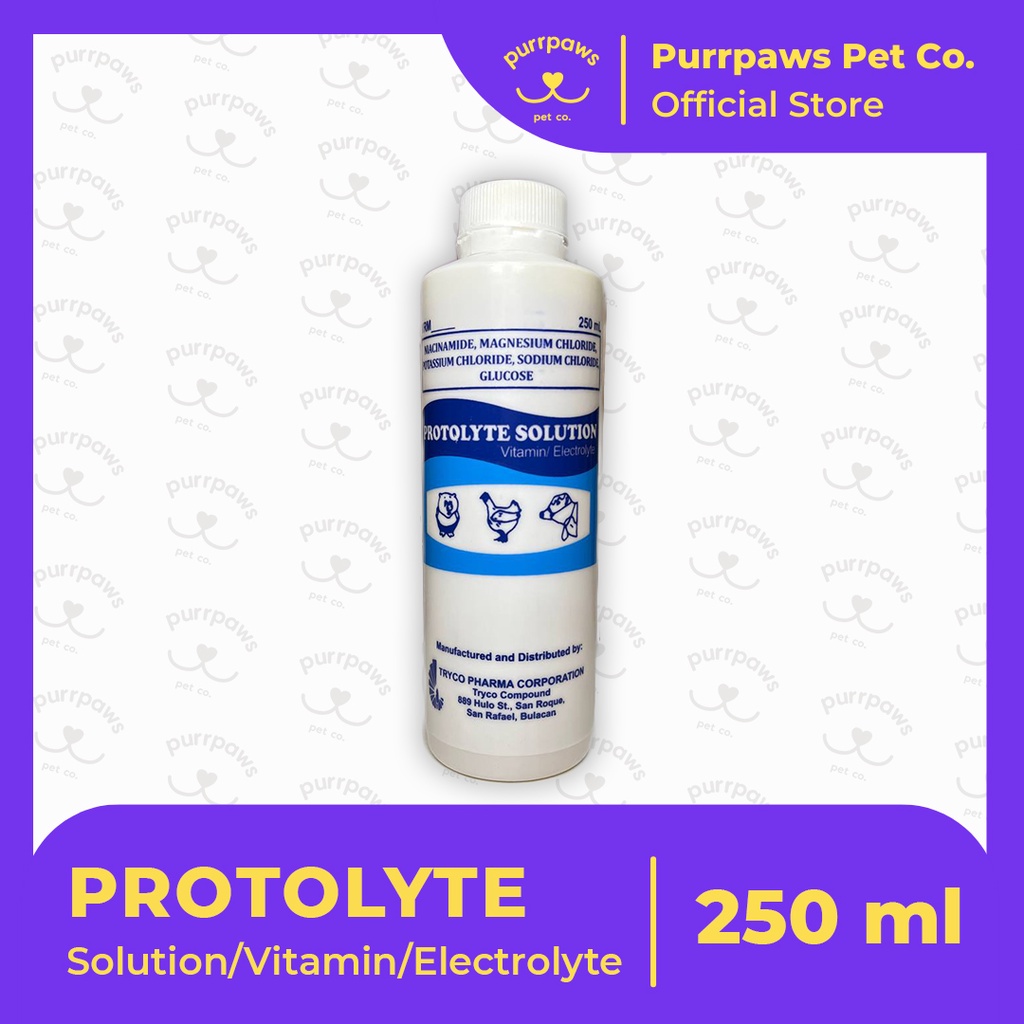 PROTOLYTE Electrolyte (250 ml) | Shopee Philippines