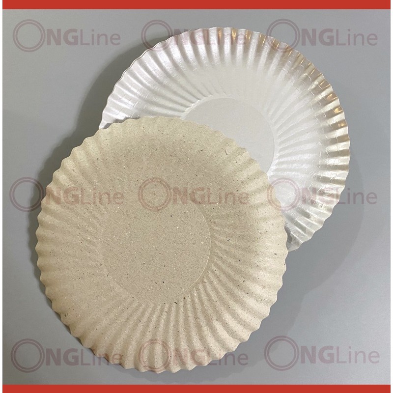 100 pcs | 9” Paper Plate Silver or White Laminated | Party Supplies ...