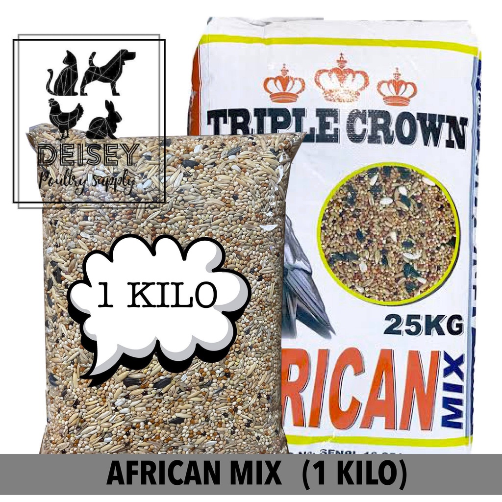 BIRD FOOD AFRICAN MIX MILLETS (1 KILOGRAM) | Shopee Philippines