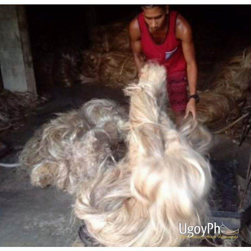 RAW ABACA FIBER/ MANILA HEMP | Shopee Philippines