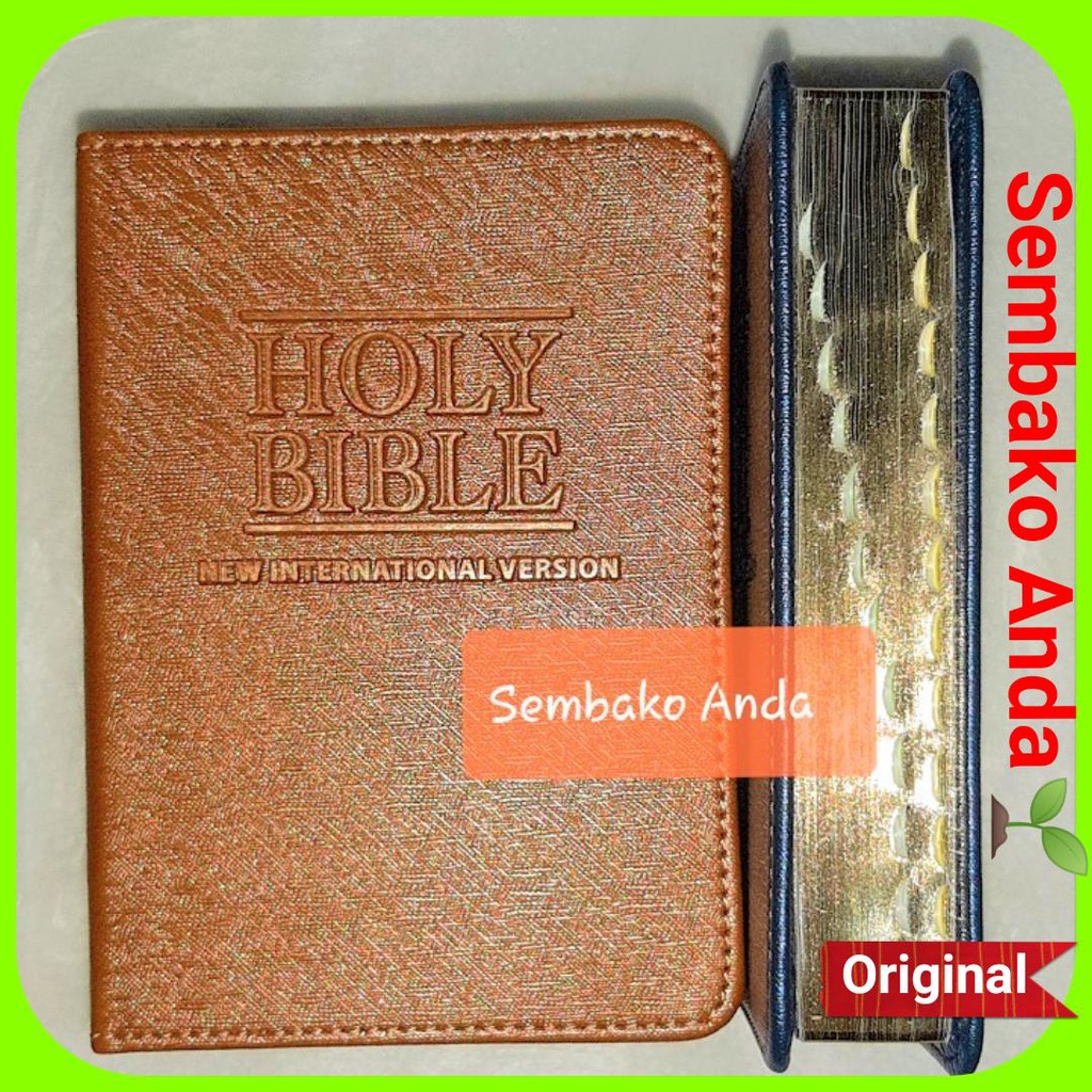 a) NIV Holy Bible. New International Version. Small English Christian ...