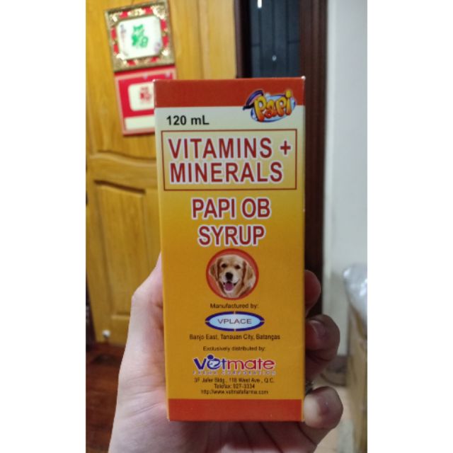 BUY 1 TAKE 1 Papi OB vitamins and minerals | Shopee Philippines