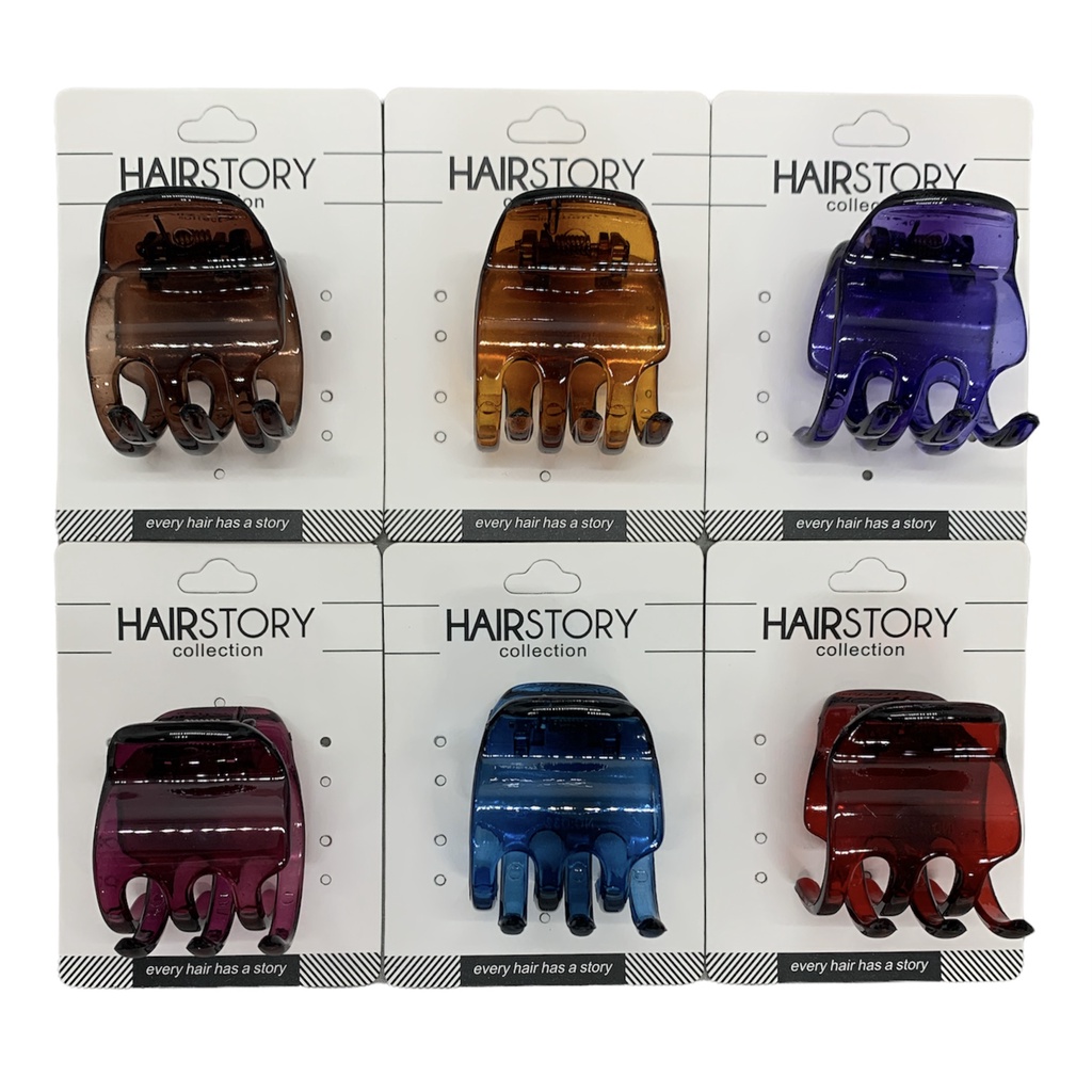 HAIRSTORY D459 France Multi Color Small Hair Clamp | Shopee Philippines