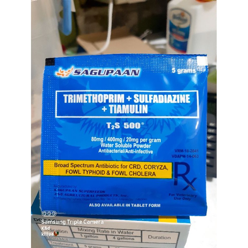SAGUPAAN T2S 500 POWDER SOLD PER 1 SACHET | Shopee Philippines