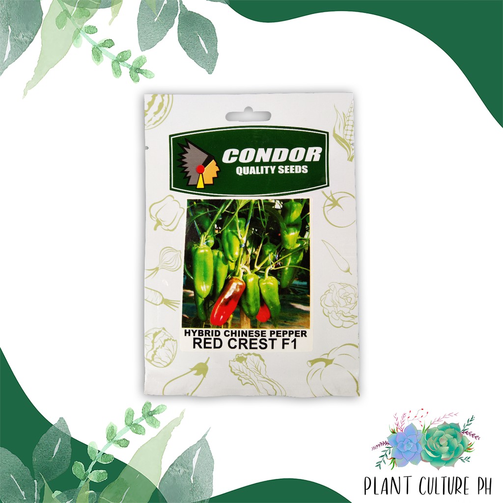 Condor Quality Seeds Hybrid Chinese Pepper Red Crest F1 25 At Ph ...