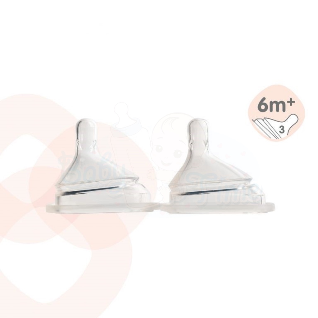 Hegen Teat Fast Flow (2-pack) (6 Month+) | Shopee Philippines